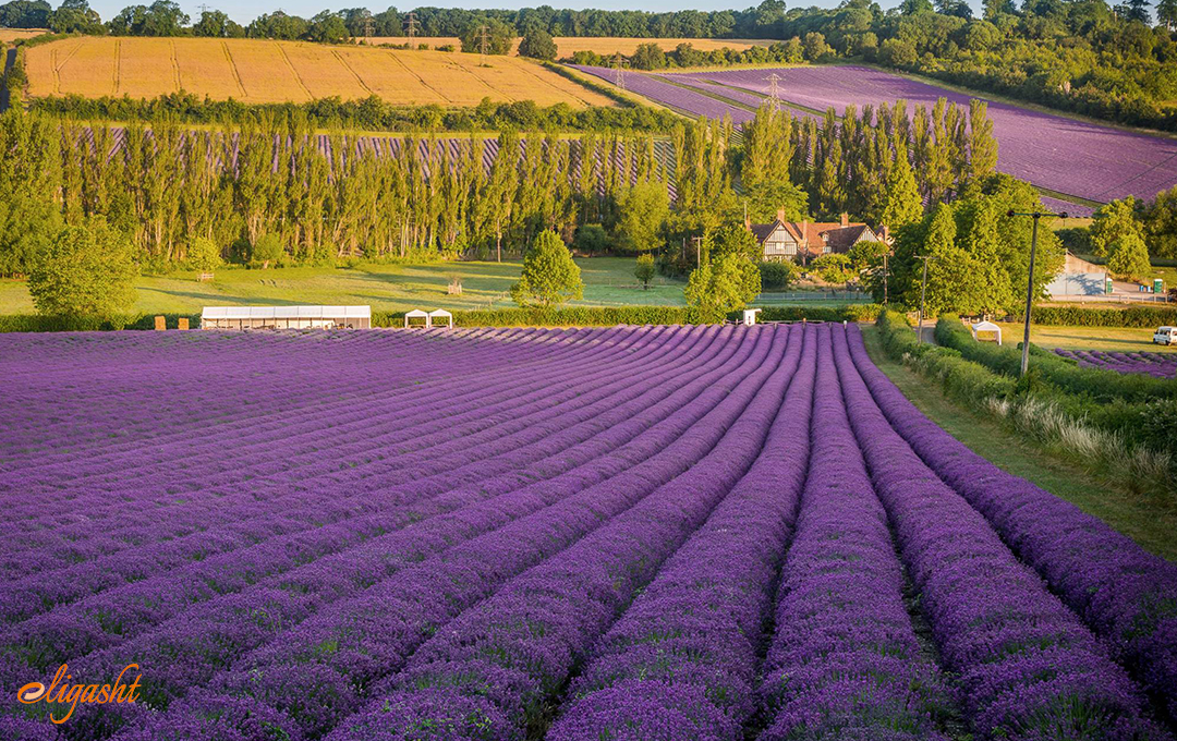 Natural sights in the UK | Top 8 most wonderful natural wonders